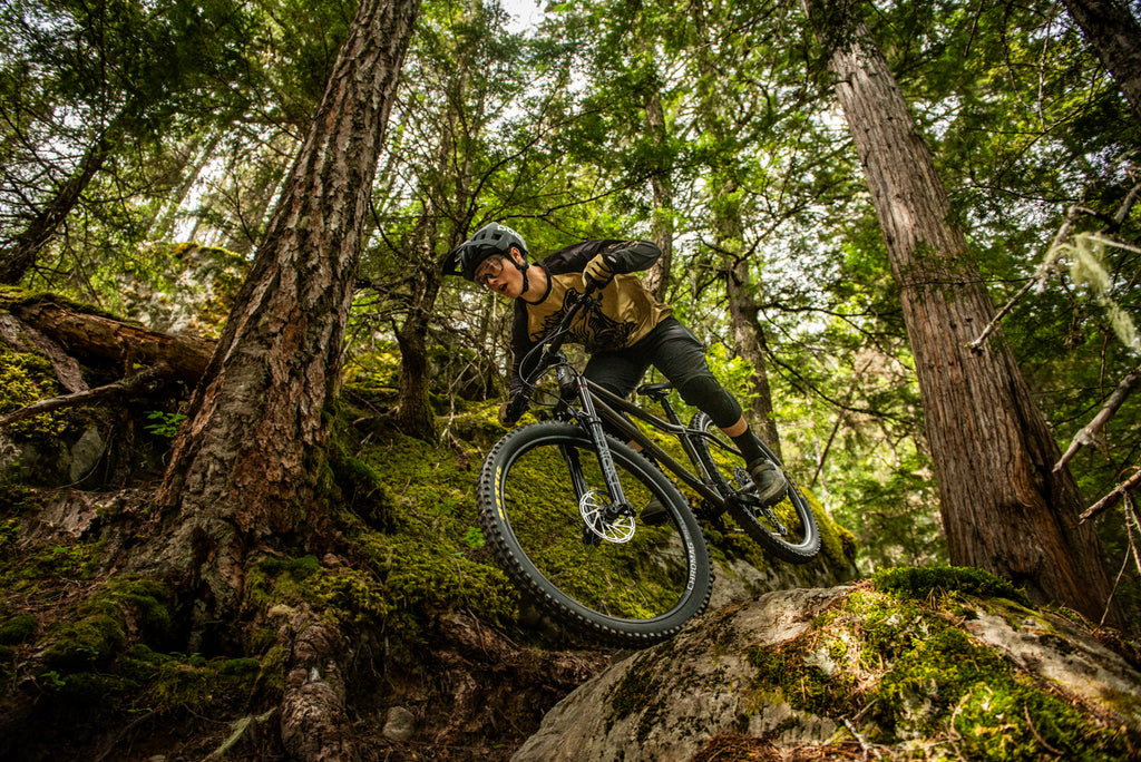 Rootdown — Chromag Bikes — Chromoly Steel Hardtail Mountain Bike MTB